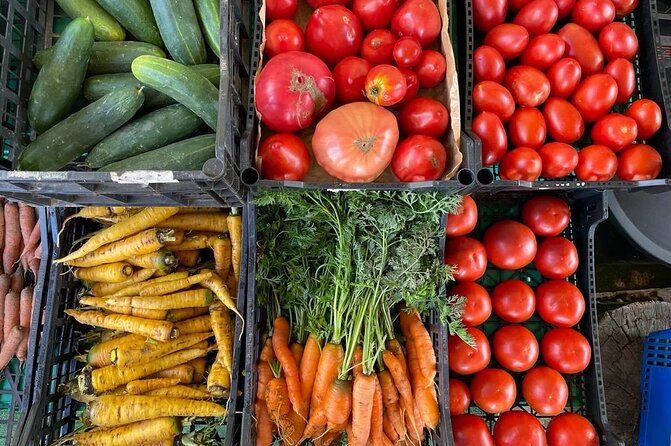 Buy, Cook & Taste-Gastronomic Tour North Portugal - Why Travelers Keep Coming Back