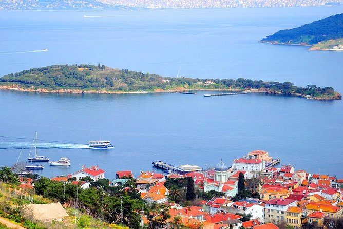 Buyukada Princes' Island Guided Day Tour With Lunch From Istanbul - The Boat Ride Experience