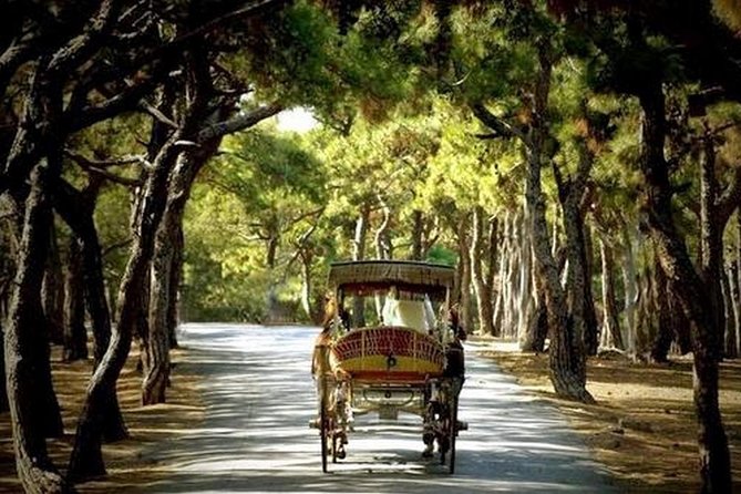 Buyukada Princes' Island Guided Day Tour With Lunch From Istanbul - Dining on the Island