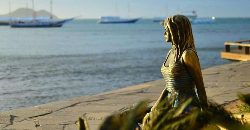 Búzios: City Tour & Beach Hopping with Lunch - Key Points