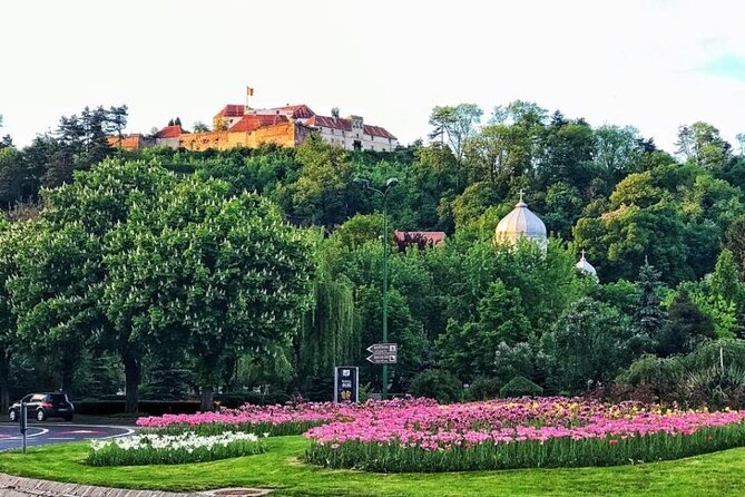 BV01 - City Tour Brasov in English: Secrets of Kronstadt - Frequently Asked Questions