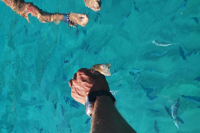 By Boat Between the Sea and the Most Beautiful Beaches! Capo Vaticano - Tropea - Briatico - Flexible Booking and Cancellation Policy