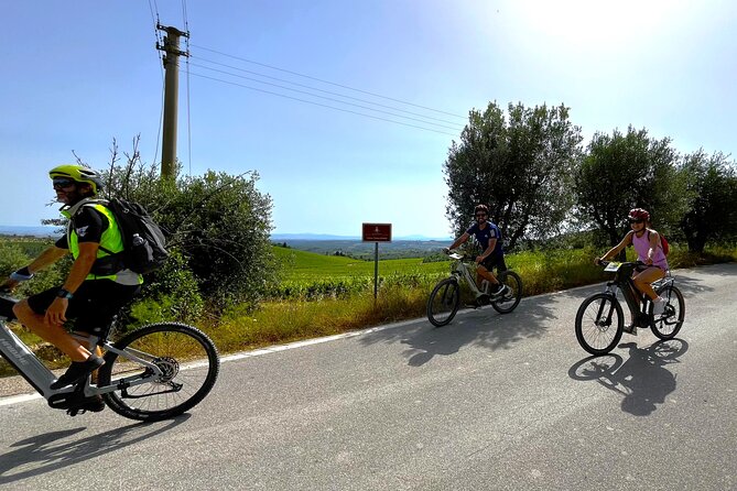 By Ebike: Visit an Art Park and Wine Taste in the Classic Chianti - Discovering the Charm of Tuscany on E-Bike