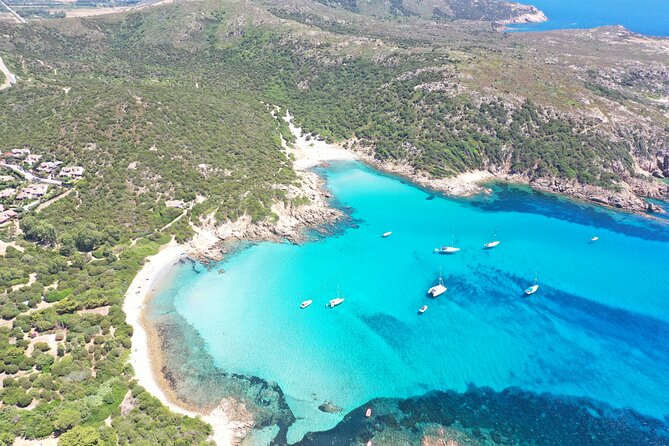 By Ribcraft to the Best Cagliari Coves. The Sfinx Tour - Diving Into the Positive and Negative Customer Feedback