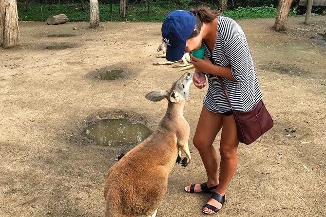 Byron Bay and Currumbin Wildlife Sanctuary Day Tour - Transportation and Timing