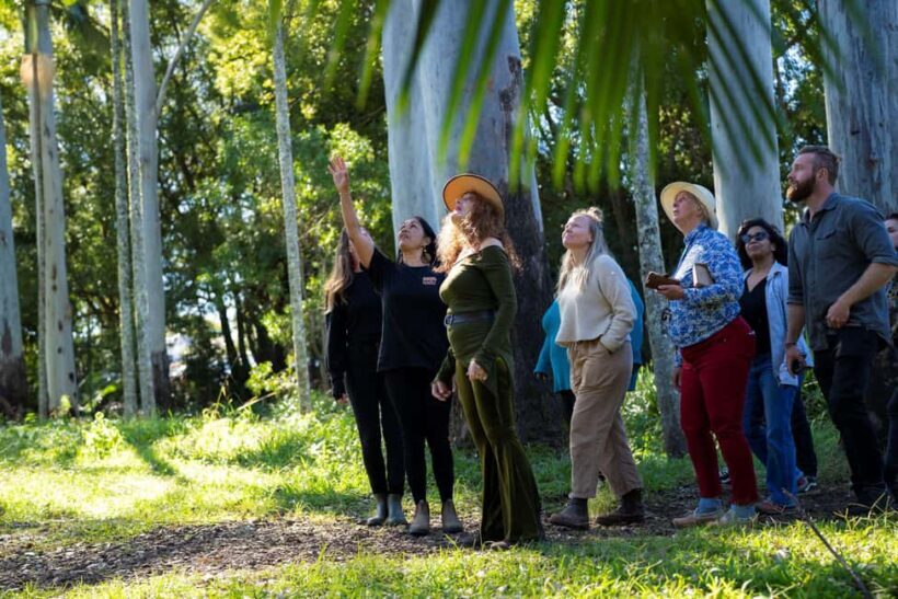 Byron Bay: Bangalow Bush Tucker Tour - A Detailed Look at the Byron Bay: Bangalow Bush Tucker Tour