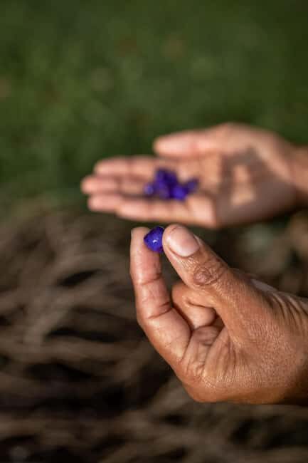 Byron Bay: Bangalow Bush Tucker Tour - FAQ