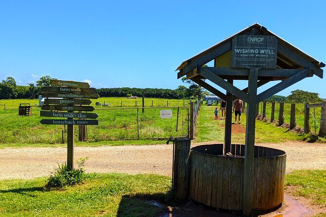 Byron Bay, Bangalow & Gold Coast Day Trip from Brisbane - FAQs
