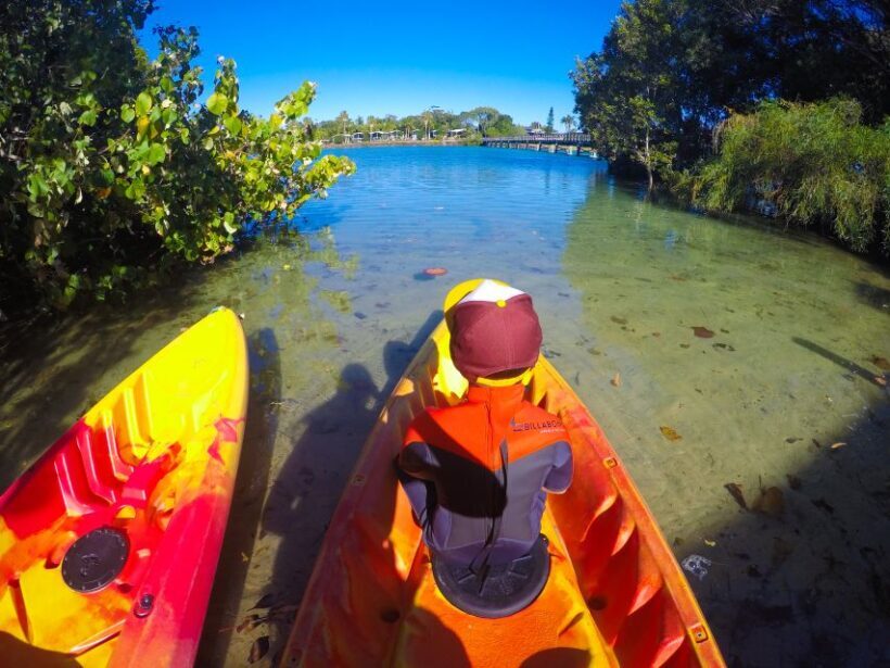 Byron Bay: Brunswick River Scenic Kayak Tour - Key Points