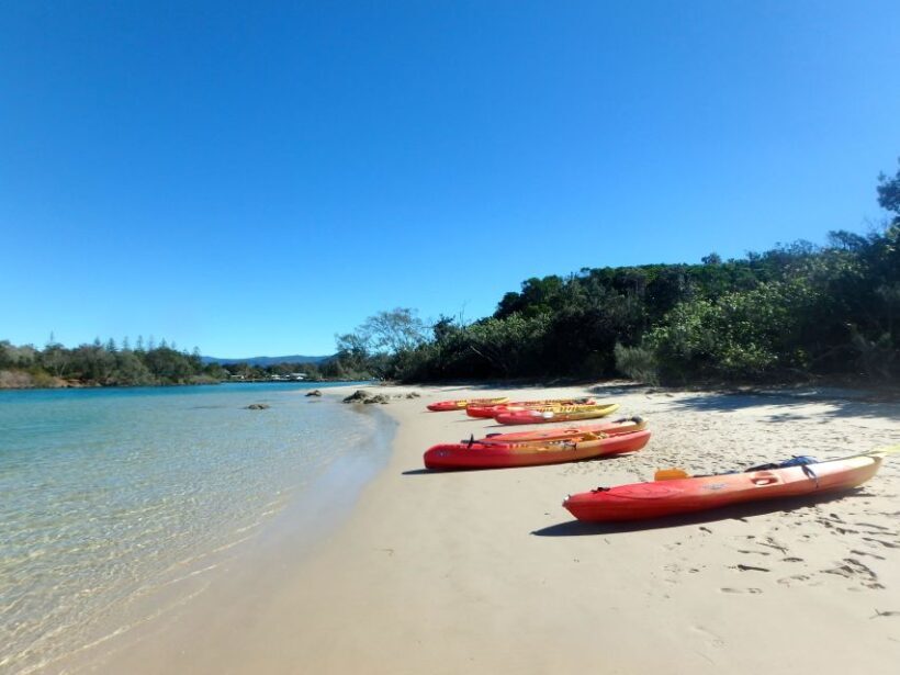 Byron Bay: Brunswick River Scenic Kayak Tour - An In-Depth Look at the Brunswick River Kayak Tour