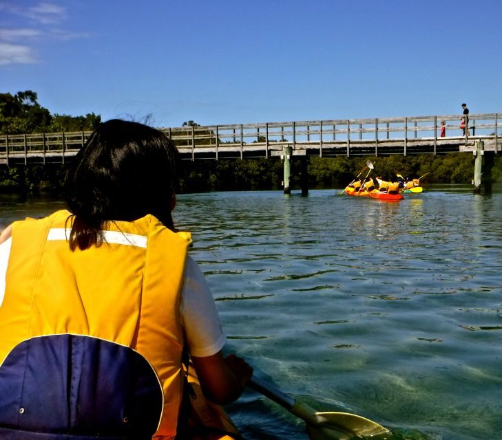 Byron Bay: Brunswick River Scenic Kayak Tour - FAQs