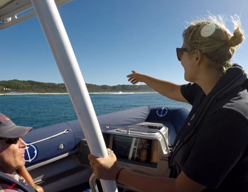 Byron Bay: Cruise with Dolphins Tour - Introduction: An Authentic Sea Safari with a Personal Touch