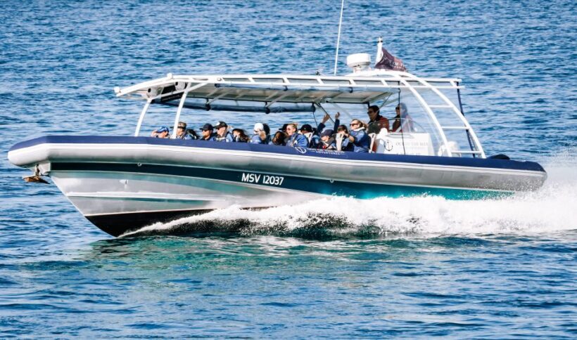 Byron Bay: Cruise with Dolphins Tour - Authenticity and Experience: What Travelers Say
