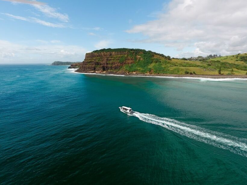 Byron Bay: Cruise with Dolphins Tour - FAQ