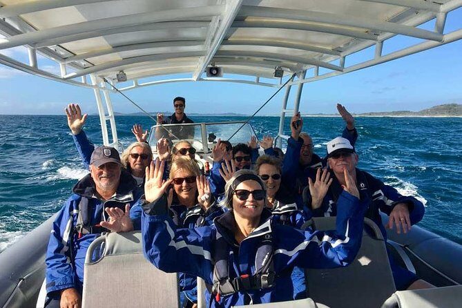 Byron Bay Dolphin Tour - Ocean Safari - A Closer Look at the Byron Bay Dolphin Tour – Ocean Safari