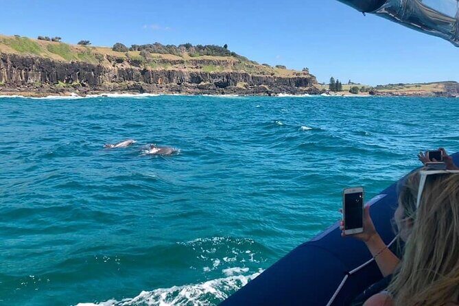Byron Bay Dolphin Tour - Ocean Safari - FAQ