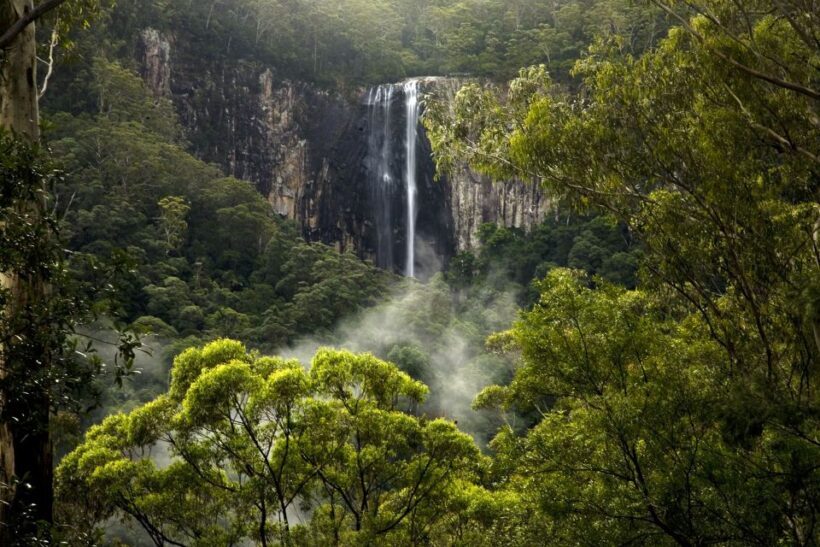 Byron Bay: Glowworms, Waterfalls & Rainforest Experience - The Scenic Highlights and Unique Stops
