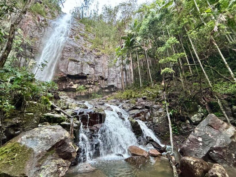 Byron Bay: Glowworms, Waterfalls & Rainforest Experience - Food and Comfort