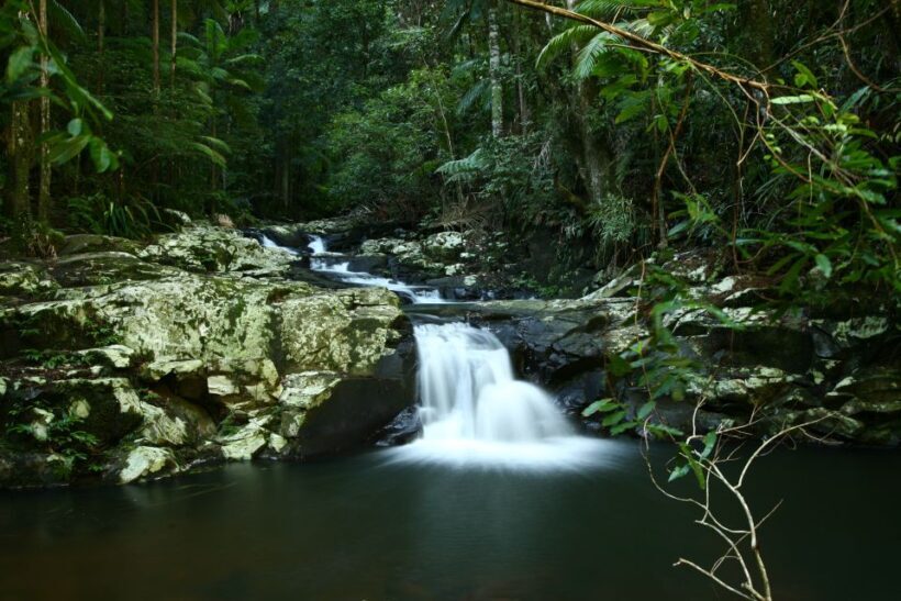 Byron Bay: Glowworms, Waterfalls & Rainforest Experience - Who Will Love This Tour?