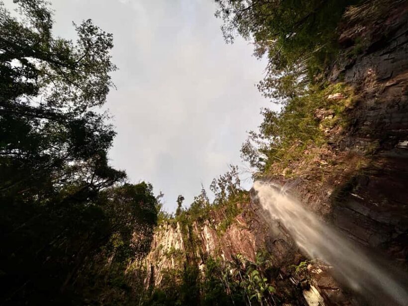Byron Bay: Glowworms, Waterfalls & Rainforest Experience - The Experience’s Value for Money