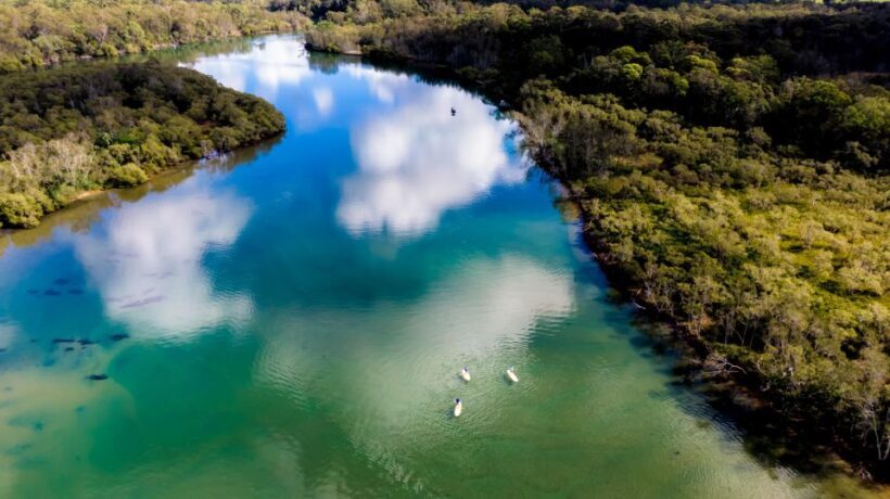 Byron Bay: Group 2.5 Hour Stand-Up Paddle Board Tour - What to Expect from the Byron Bay SUP Tour