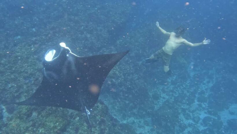 Byron Bay: Snorkeling Tour at Julian Rocks, Nguthungulli - The Value of the Experience: Is It Worth It?