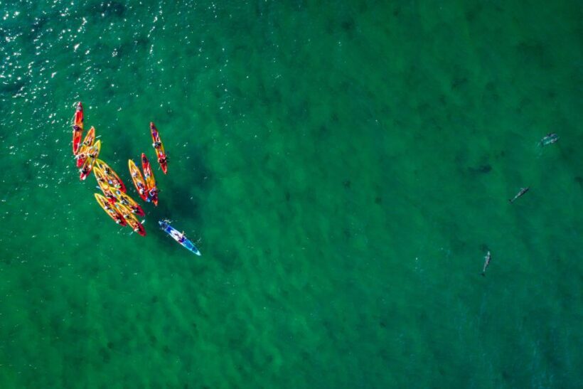 Byron Bay: The Byron Bay Sea Kayak Tour - Reviewing the Experience: What Travelers Say