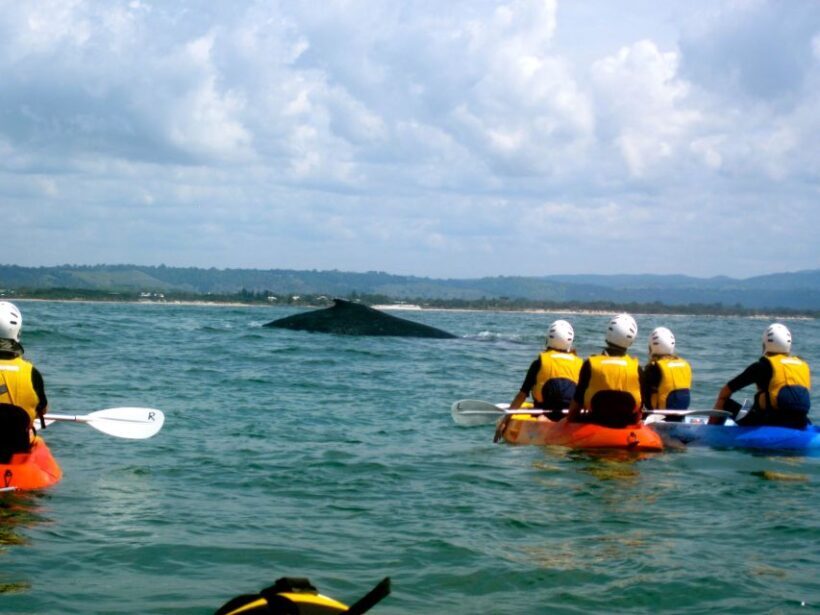Byron Bay: The Byron Bay Sea Kayak Tour - Who Will Love This Tour?