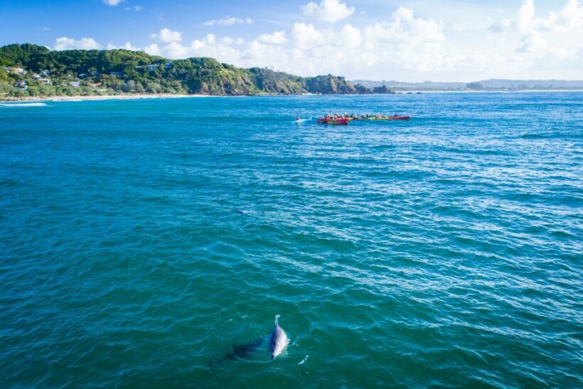 Byron Bay: The Byron Bay Sea Kayak Tour - The Sum Up