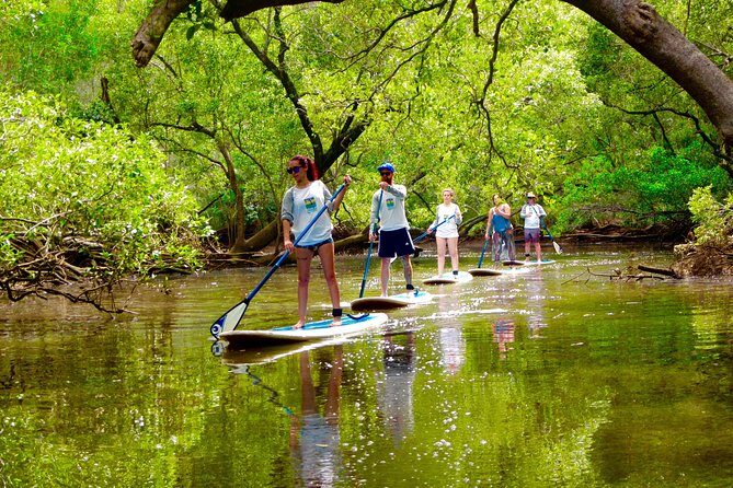 Byron Bay Wildlife Safari - FAQ