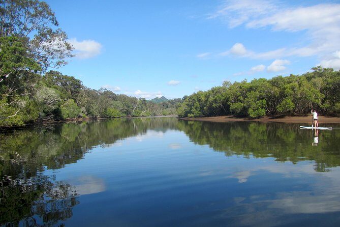 Byron Stand Up Paddle Nature Tour - An In-Depth Look at the Byron SUP Nature Tour
