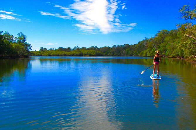 Byron Stand Up Paddle Nature Tour - Authentic Feedback from Participants