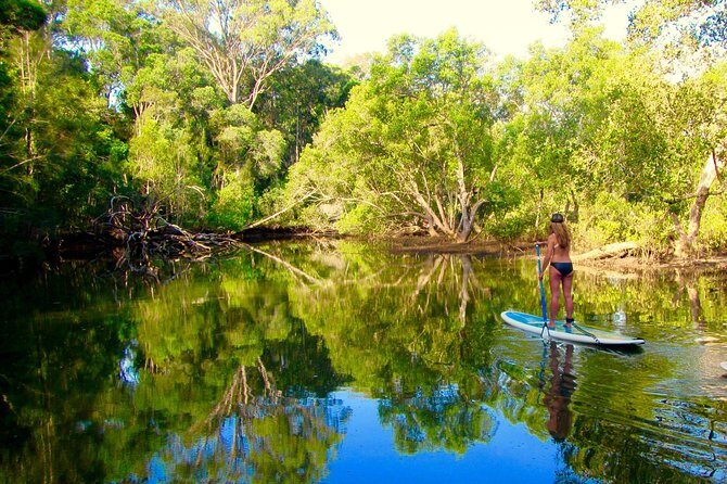 Byron Stand Up Paddle Nature Tour - Who Will Love This Tour?