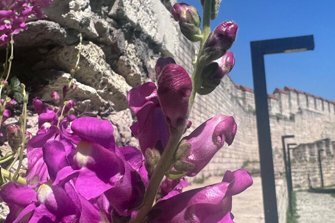 Byzantion Walk Way and City Walls in Istanbul - Discovering the Grandeur of the City Walls
