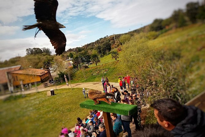 Cabarceno Natural Park Visit - Accessibility and Requirements