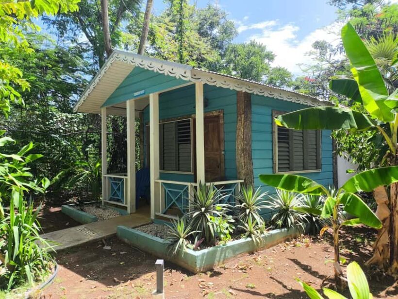 Cabarete: El Choco National Park Caves Tour with Pickup - An In-Depth Look at the El Choco National Park Caves Tour