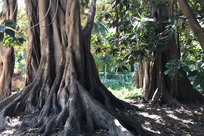 Cabecera Park Private Segway Tour - Meeting Point and Tour Logistics