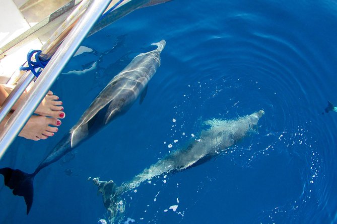 cabin charter in September, sailing boat, CYCLADES, SANTORINI, with CHEF - Dining and Leisure on the Water