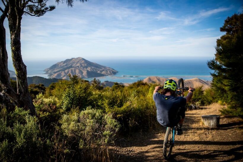 Cable Bay Adventure Park: E-bike hire - An In-Depth Look at Cable Bay E-bike Hire