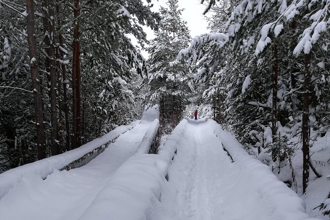 Cable Car Olympic Tour With Museum - Physical Requirements and Accessibility