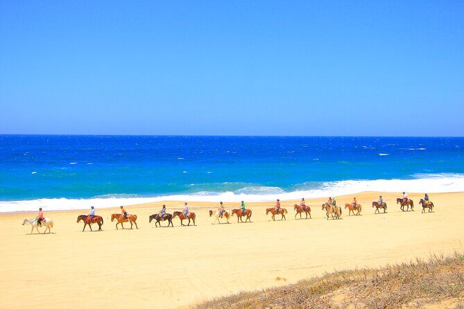 Cabo Adventure Combo Beach ATV Horseback Ride and Sky Bike - FAQs