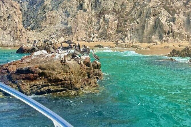Cabo Arch Glass Bottom Boat: Hotel PICKUP, Arch & Lovers Beach - An In-Depth Look at the Cabo Arch Glass Bottom Boat Experience