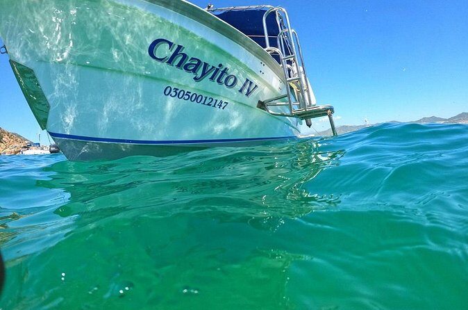 Cabo Arch Glass Bottom Boat: Hotel PICKUP, Arch & Lovers Beach - Who Is This Tour Best For?