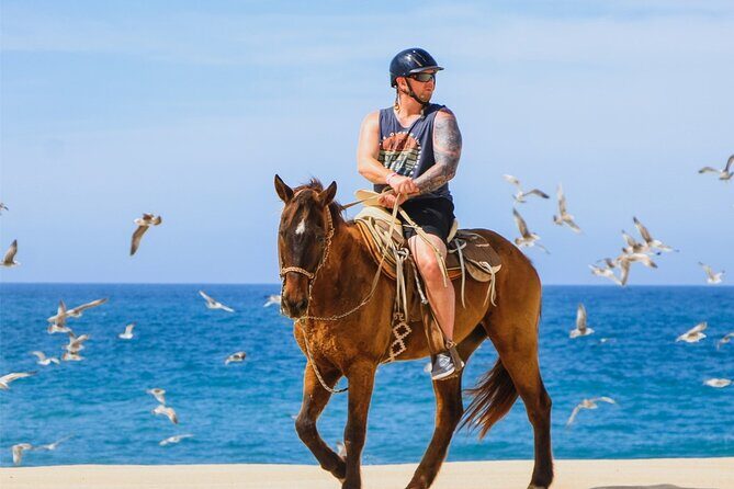 Cabo ATV Adventure with Camel and Horseback Ride - An Overview of the Tour: From Desert Trails to Beachfront Bliss