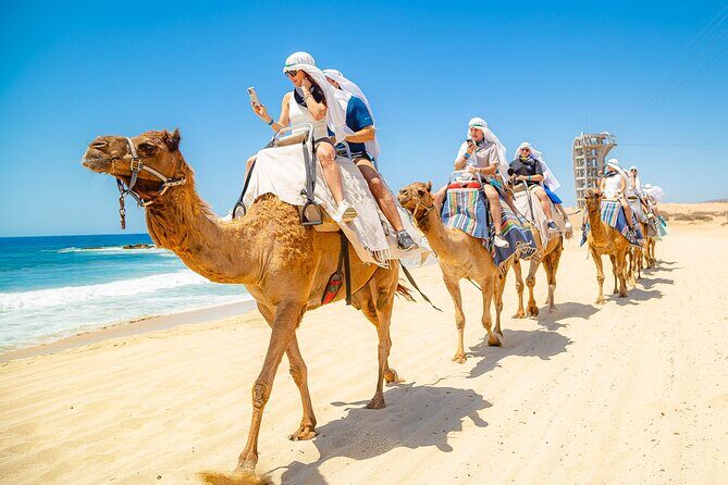 Cabo ATV Adventure with Camel and Horseback Ride - Who Will Love This Tour?