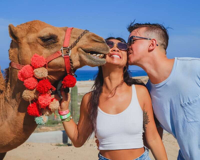 Cabo: ATV and Camel Combo Adventure Tour - Key Points