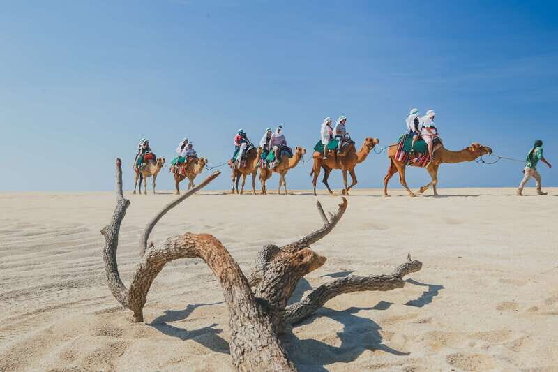 Cabo: ATV and Camel Combo Adventure Tour - Additional Stops and Features