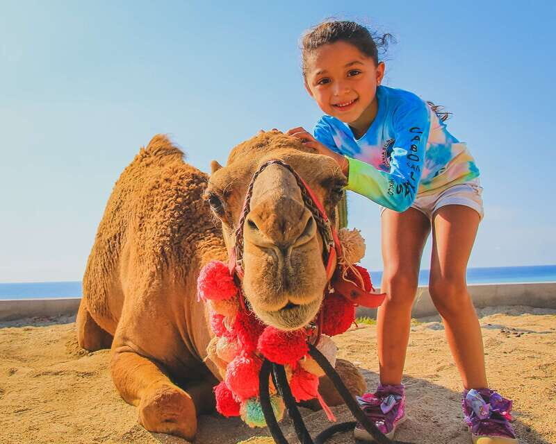 Cabo: ATV and Camel Combo Adventure Tour - Logistics and Booking