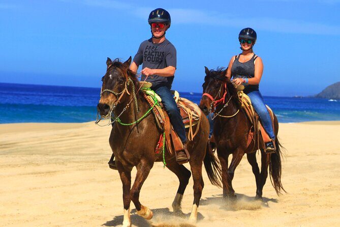 Cabo ATV and Horseback Riding Combo Experience in Migriño - An In-Depth Look at the Cabo ATV and Horseback Riding Combo