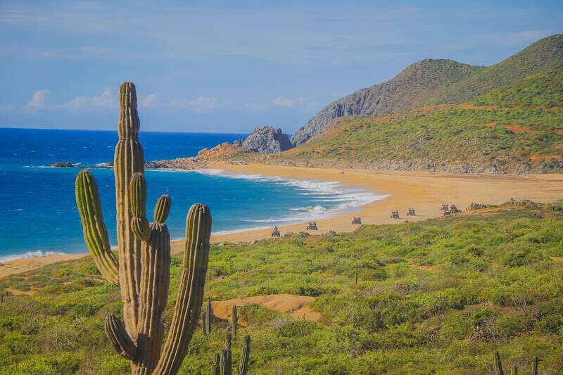 Cabo: Beach & Desert Single ATV Tour with Tequila Tasting - Key Points